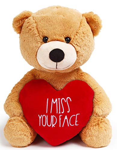 JENVIO Teddy Bear Girlfriend – Miss Your Face 12 Inch Plush – Valentine's Day Teddy Bear for Long Distance Gifts, Boyfriend, Miss You Stuffed Animal, Heart
