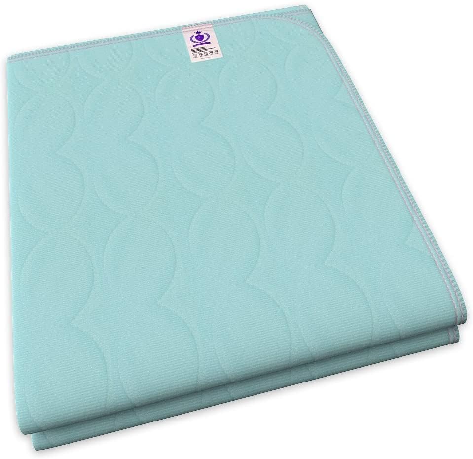 Posh Mattress Pad Protector 2 Pak 34x36 Incontinence Potty Training Pets
