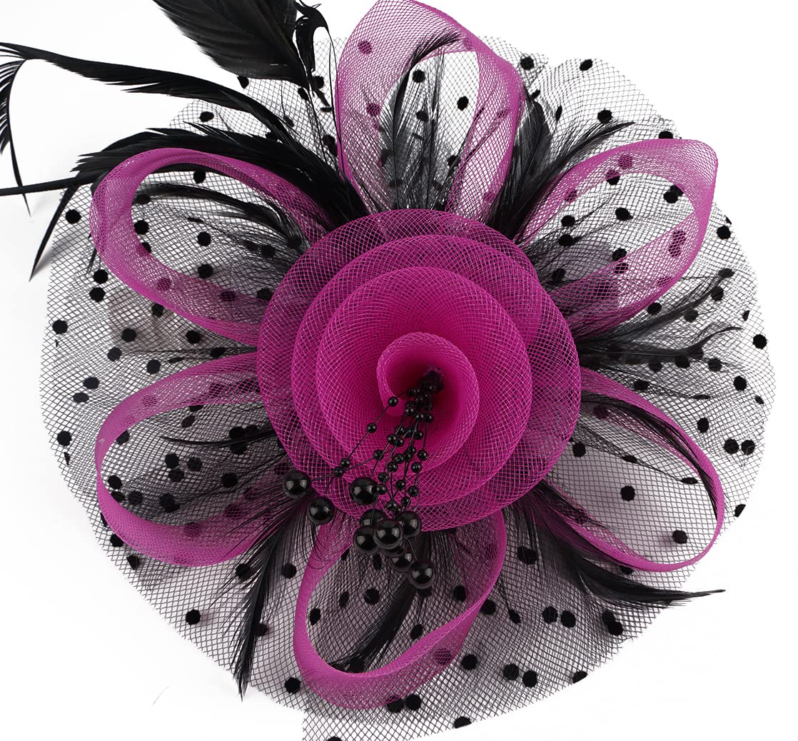 Fascinators for Women Tea Party Headband Kentucky Derby Wedding Cocktail Flower Mesh Feathers Hair Clip (Rose &Black)