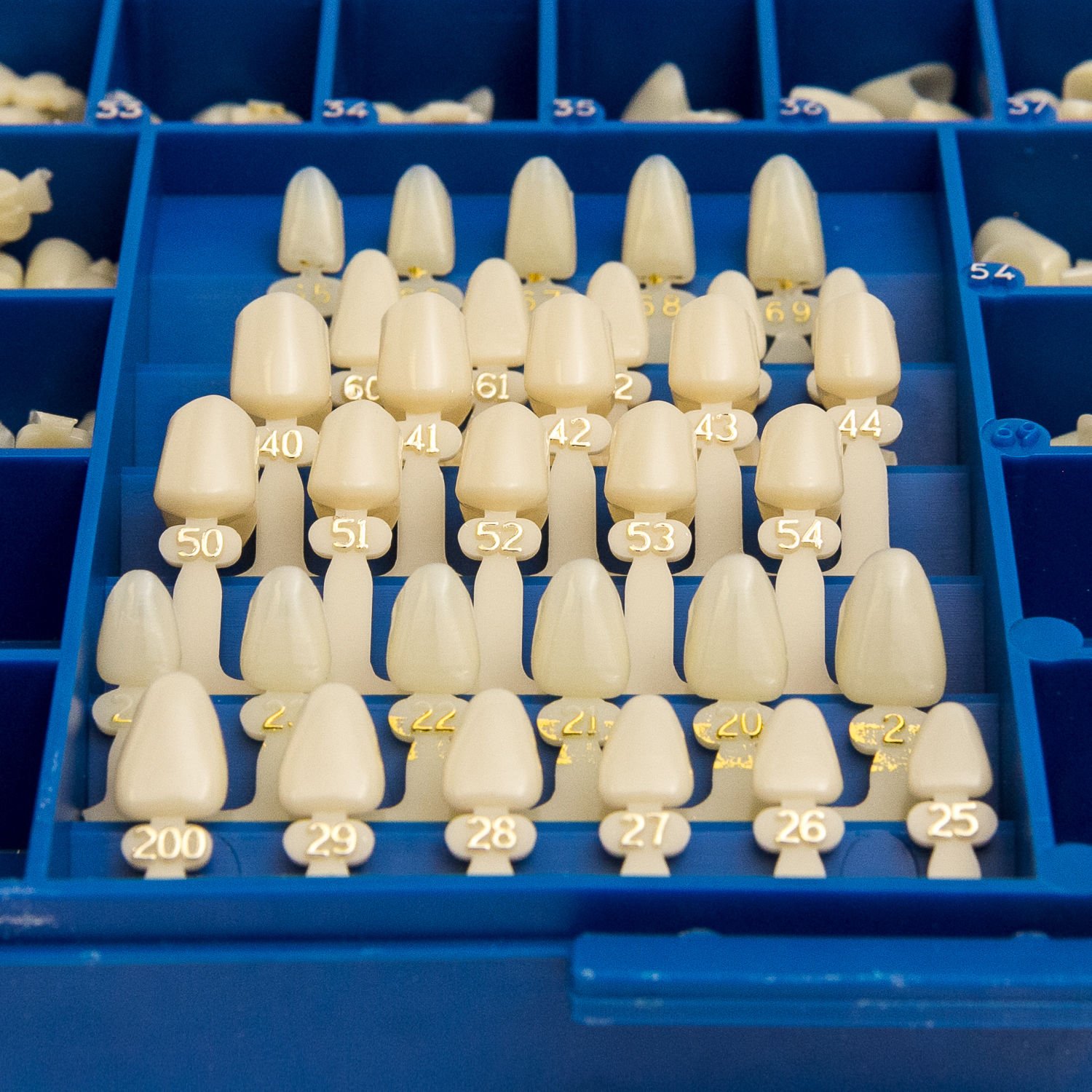 Polycarbonate Temporary Dental Crowns Kit 360 pcs with Crown Mold Guides