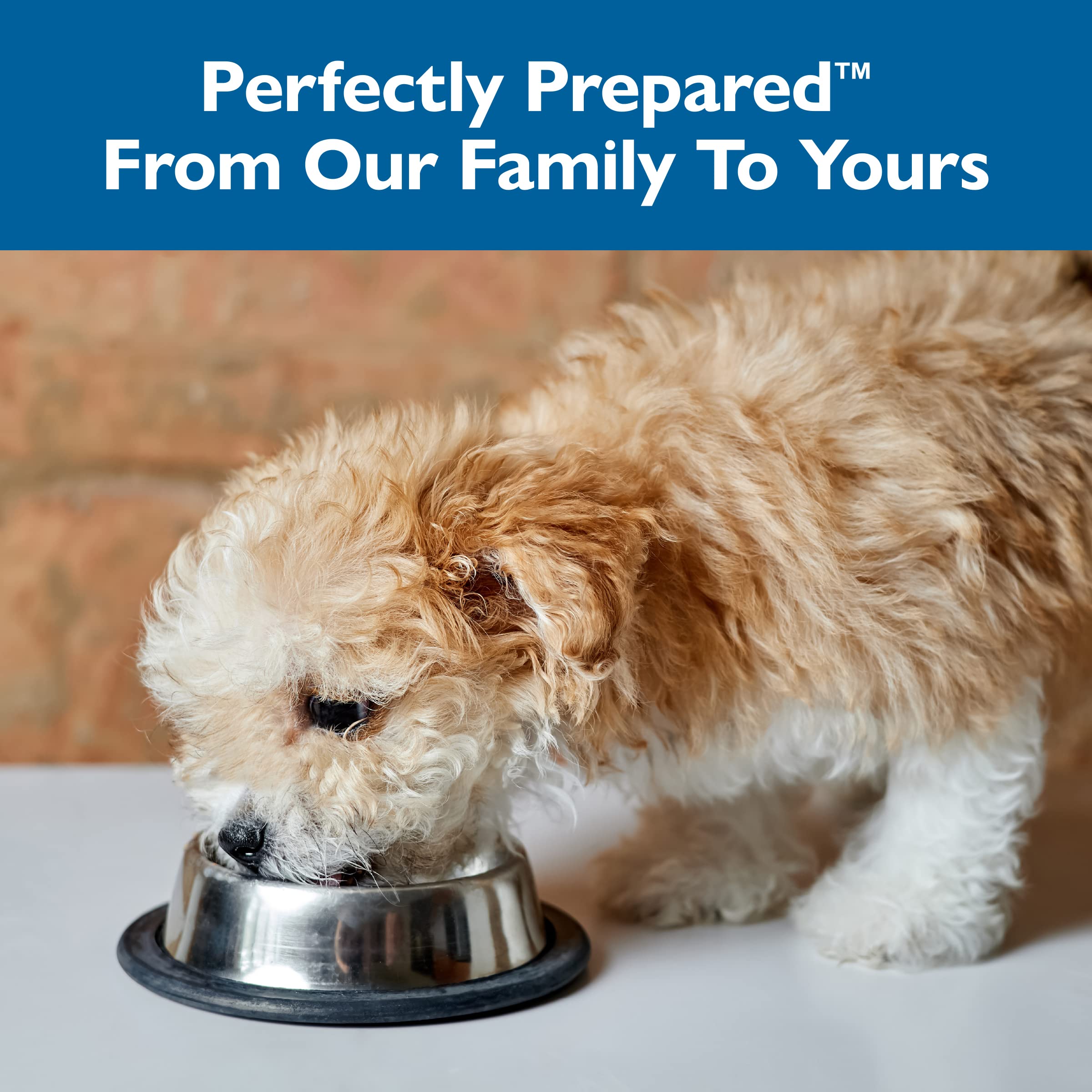 Bil-Jac Puppy Food Small Breed Formula Dry Dog Food 6 lb Bag - Chicken, Oatmeal & Yams - Super Premium Since 1947