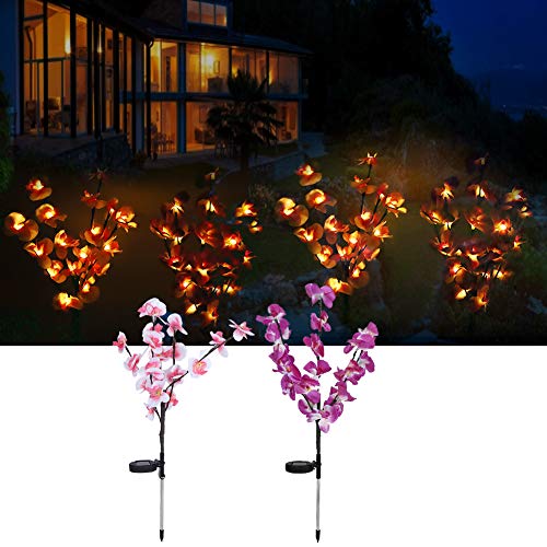 Crisist Solar Pathway Light, Beautiful Elegant Solar Power 2Pcs/Set Garden Light, for Home Outdoor