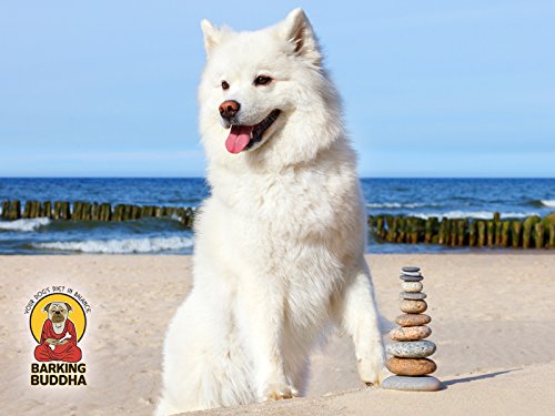 Barking Buddha Beef Cheek Slices | Premium Dog Chews | Extra Thick, All Natural, No Additives, Gluten Free | Peanut Butter - Small 5β-6β - 15 Pack