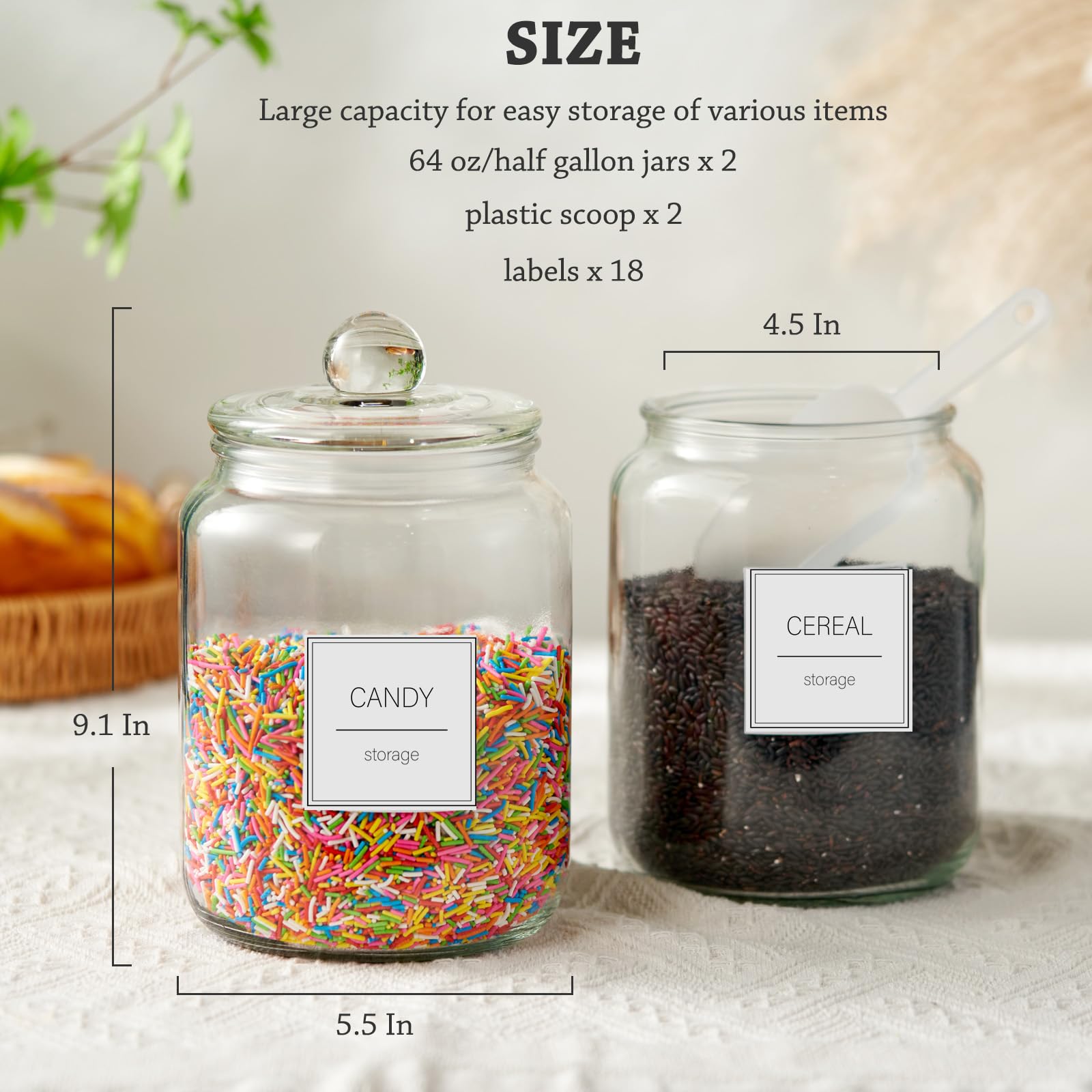 FyndraX Half Gallon Large Glass Jars with Lids, Airtight Storage Clear Containers for Cookie, Candy, Flour, Sugar, Coffee, Food Organization Canisters for Kitchen, Laundry Room and Pantry, Set of 2