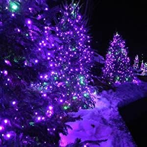 FUNPENY Halloween Clear Mini String Lights, Total 32FT 100LED Battery Operated Waterproof Fairy Lights with 8 Lighting Modes, Halloween Decorations for Indoor Outdoor Garden Party(Purple,2 Pack)
