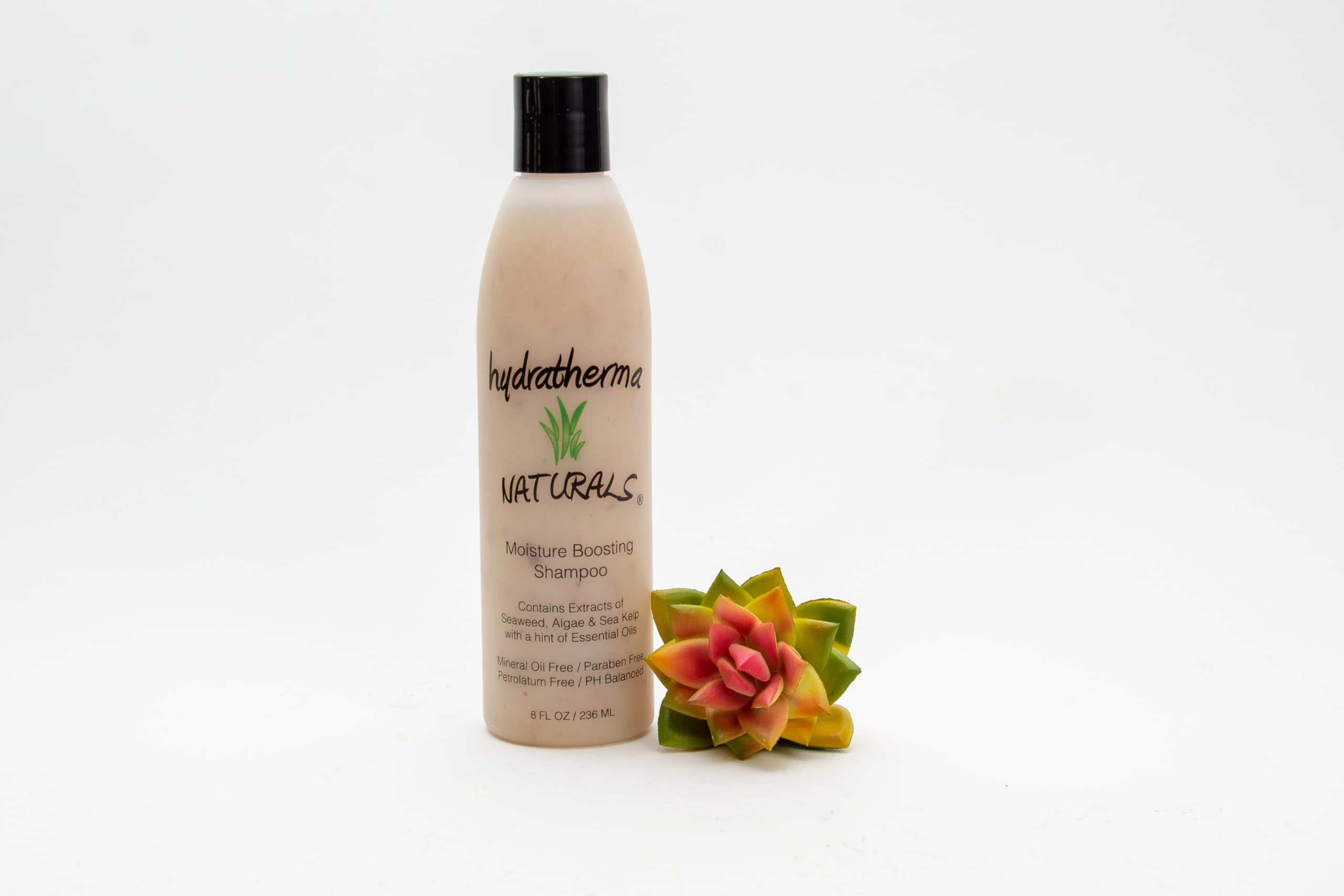 Hydratherma Naturals Moisturizing Boosting Shampoo, 8.0 fl. oz.