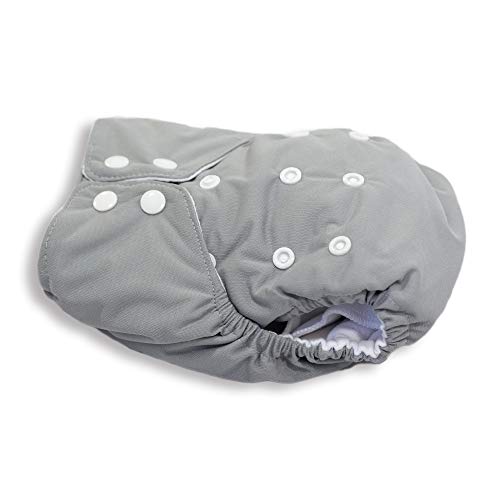 Thirsties Natural One Size All in One Reusable Cloth Diaper, Snap Closure, Adventure Trail