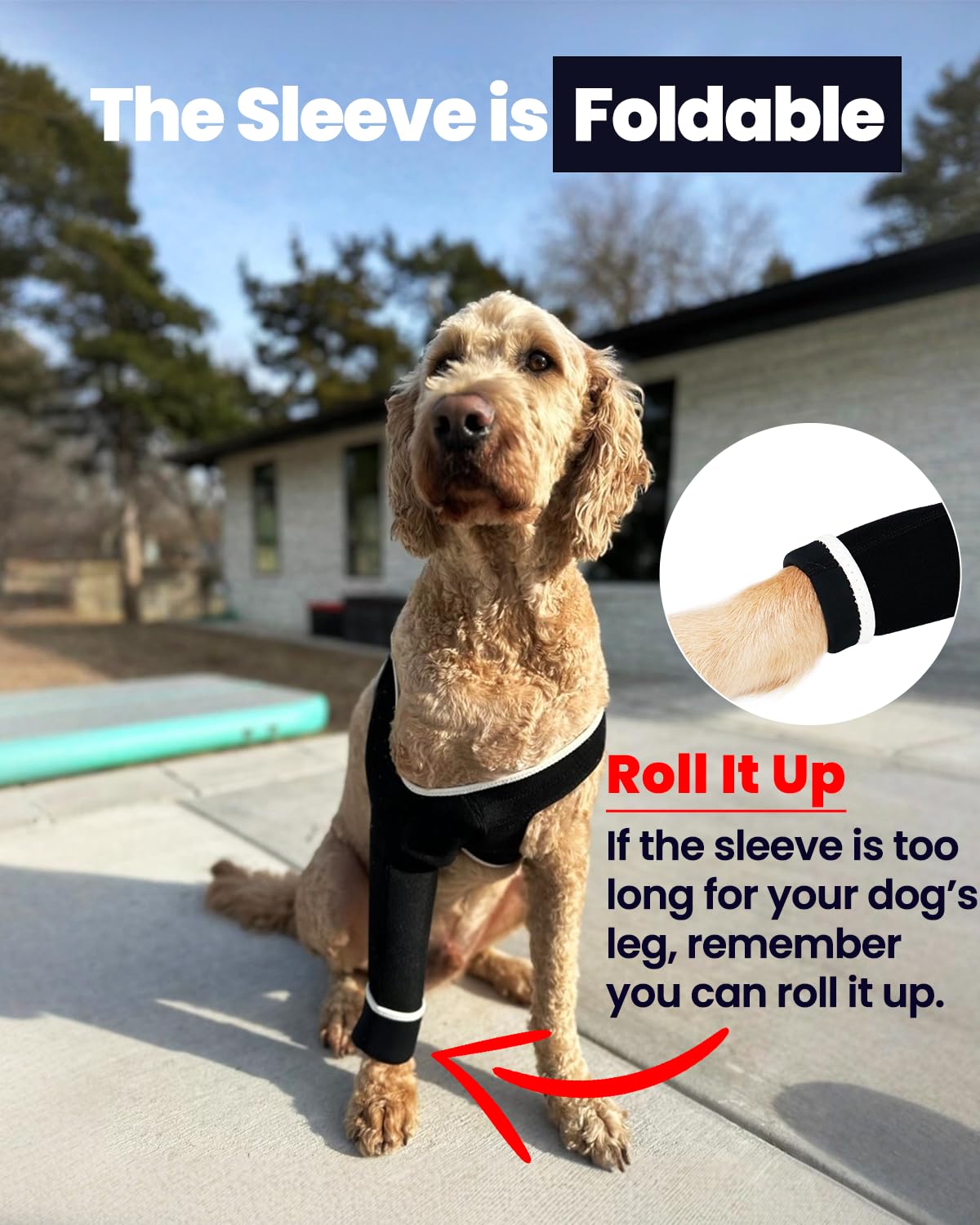 LufeLux Dog Leg Sleeve, Dog Compression Sleeve, Dog Cone Alternative, Keep Dog from Licking Wound with Strechy Adjustable Elastic Band, for Hot Spots, Wounds, Bandages