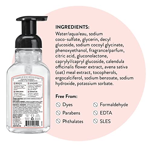 J.R. Watkins Foaming Hand Soap Pump with Dispenser, Moisturizing All Natural Hand Soap Foam, Alcohol-Free, Cruelty-Free, USA Made, Use as Kitchen or Bathroom Soap, Grapefruit, 9 fl oz, 6 Pack