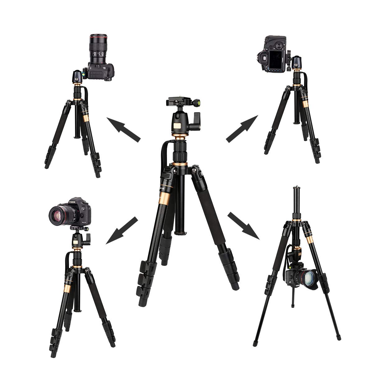 AFAITH Tripod for DSLR Camera, Ultra Compact and Lightweight Aluminum Travel Tripod with 360 Panorama Ball Head Quick Release Plate for Canon, Nikon, Sony, Samsung, Olympus, Panasonic