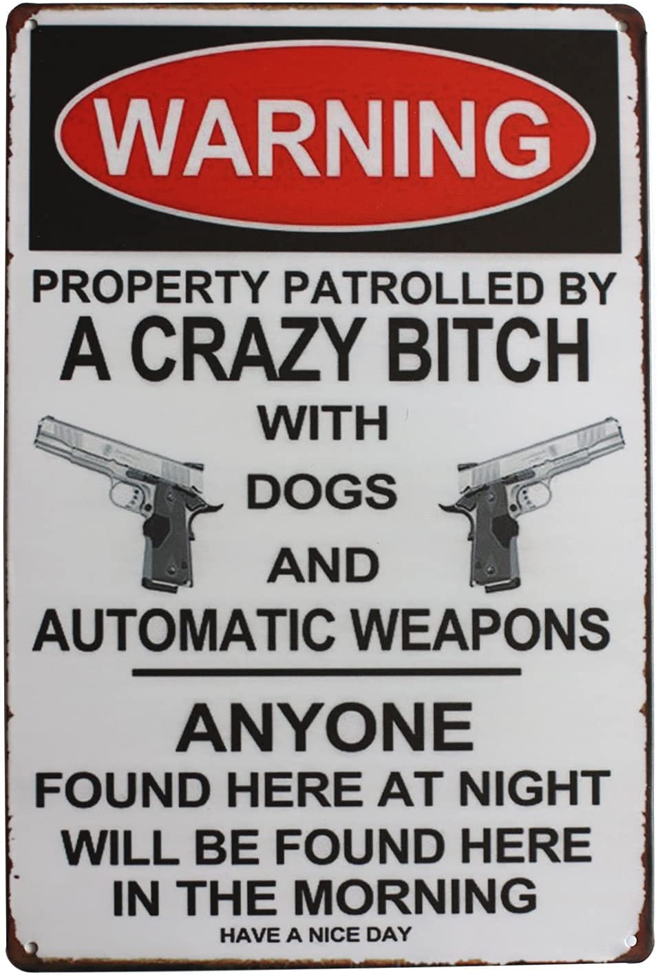 LuckyBamboo Vintage Metal Gun Signs, Property Patrolled by a Crazy Bitch Warning Signs Outdoor Home Yard Street Garden Garage Door Metal Signs