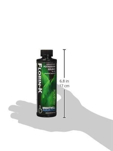 Brightwell Aquatics Florin K - Concentrated Potassium Source For All Planted Aquariums, 250 ml