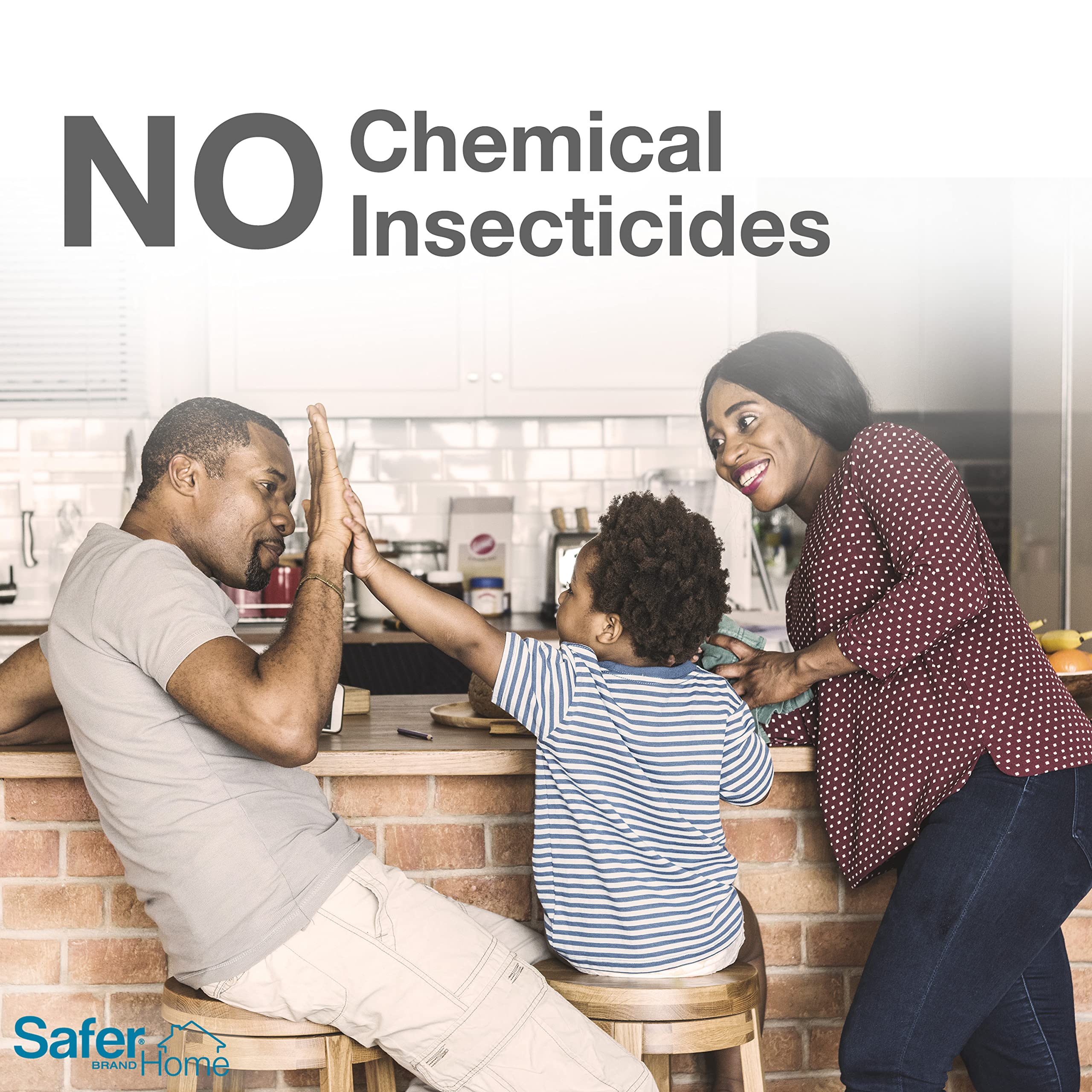 Safer Brand Home SH500SR Indoor Fruit Fly Trap β Ready-to-Use, Non-Staining, No synthetic Insecticides β 2 Traps, Blue