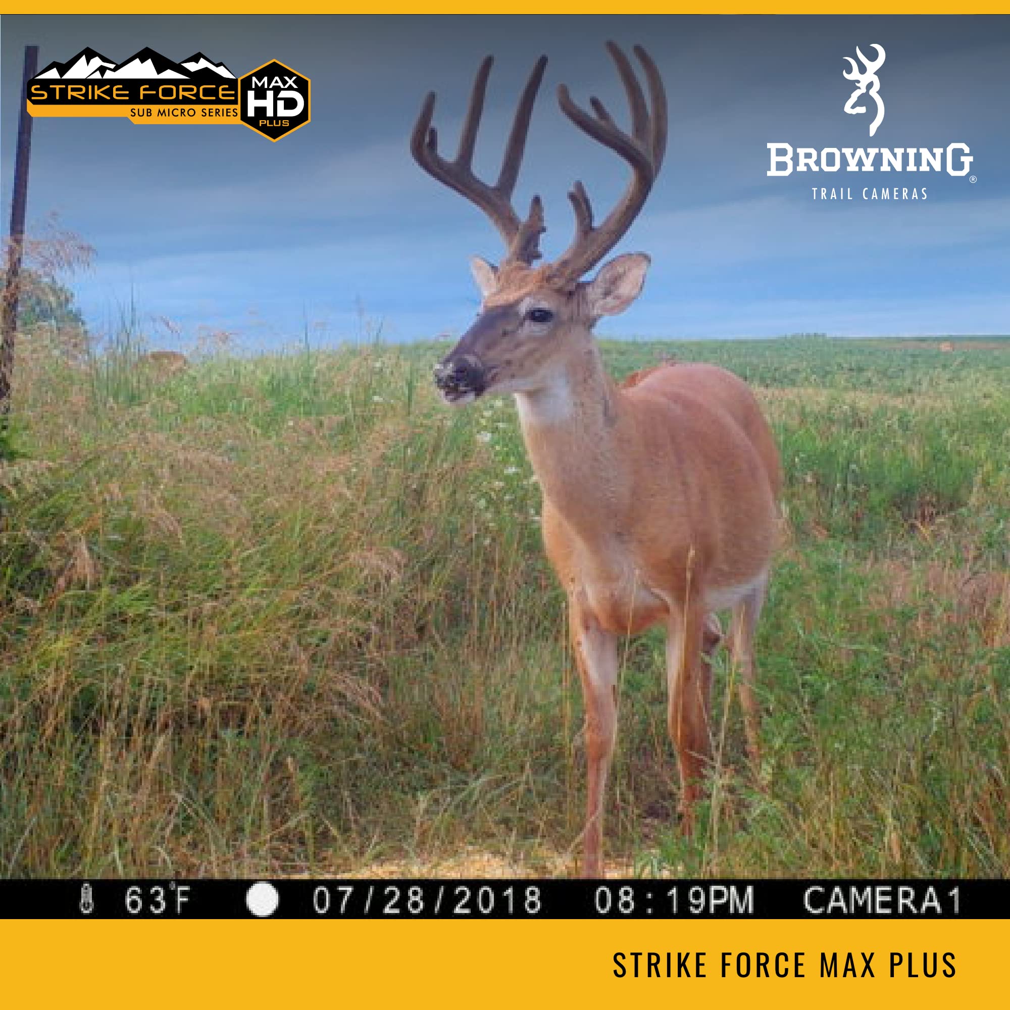 Browning outdoor Trail Cameras Strike Force Max HD Plus BTC, Motion Only