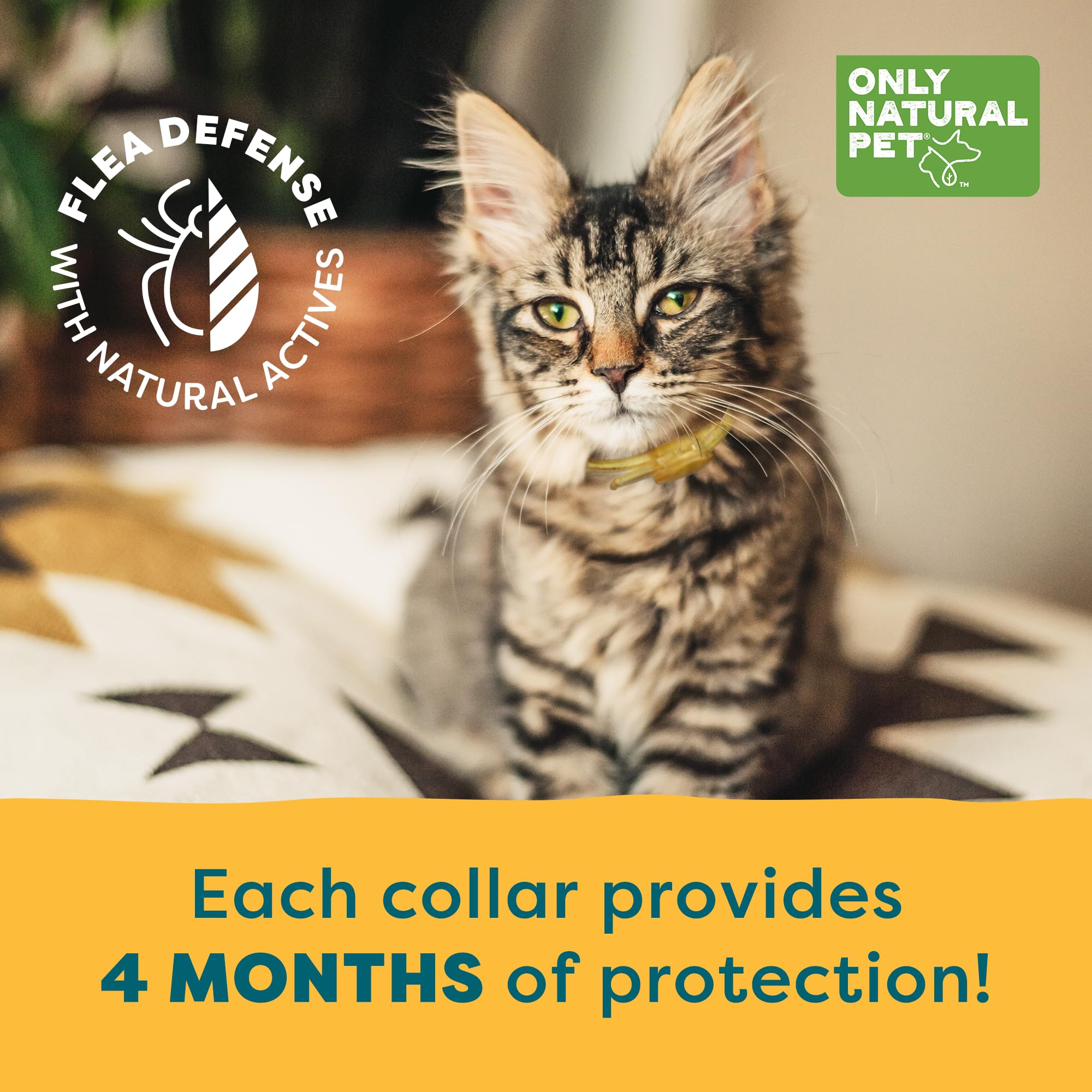 Only Natural Pet EasyDefense Flea & Tick Cat Collar - Feline Flea Collars Flea and Tick Control - Pet Flea Care That Protects up to 4 Months - for Cats (2 Pack)