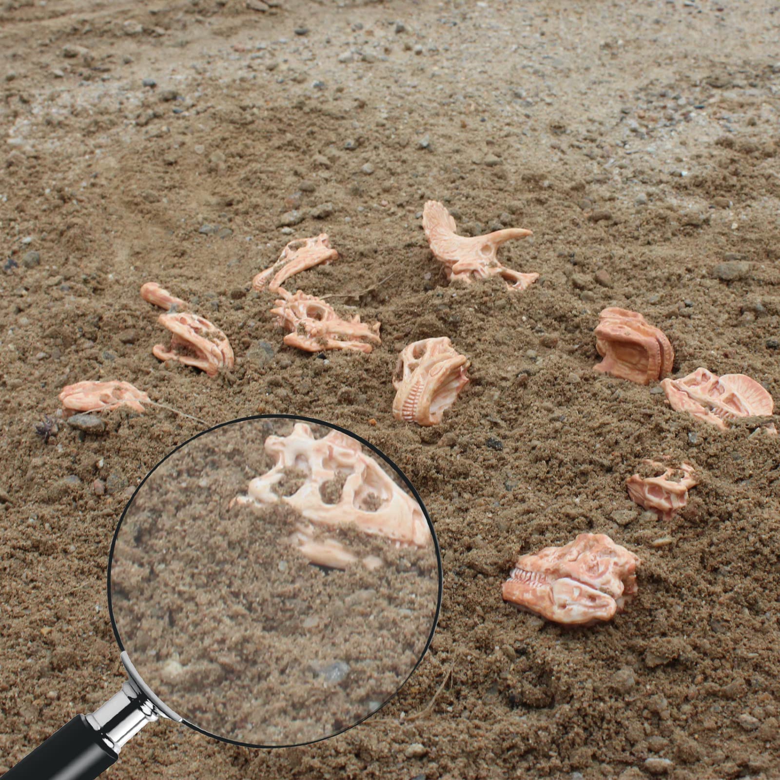LC JoyCre Mini Dinosaur Bones for Sandbox Kids Toys Realistic Fake Dinosaur Bones for Kids Toys Dinosaur Bones for Kids to Dig Up