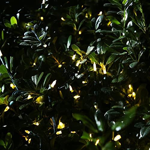 String Lights 100 Led Clear Mini Fairy Lights Christmas Lighting Decor AC 120V 35ft for Outdoor, Indoor, Garden, Patio, Lawn, Holiday, Bedroom Wedding Xmas