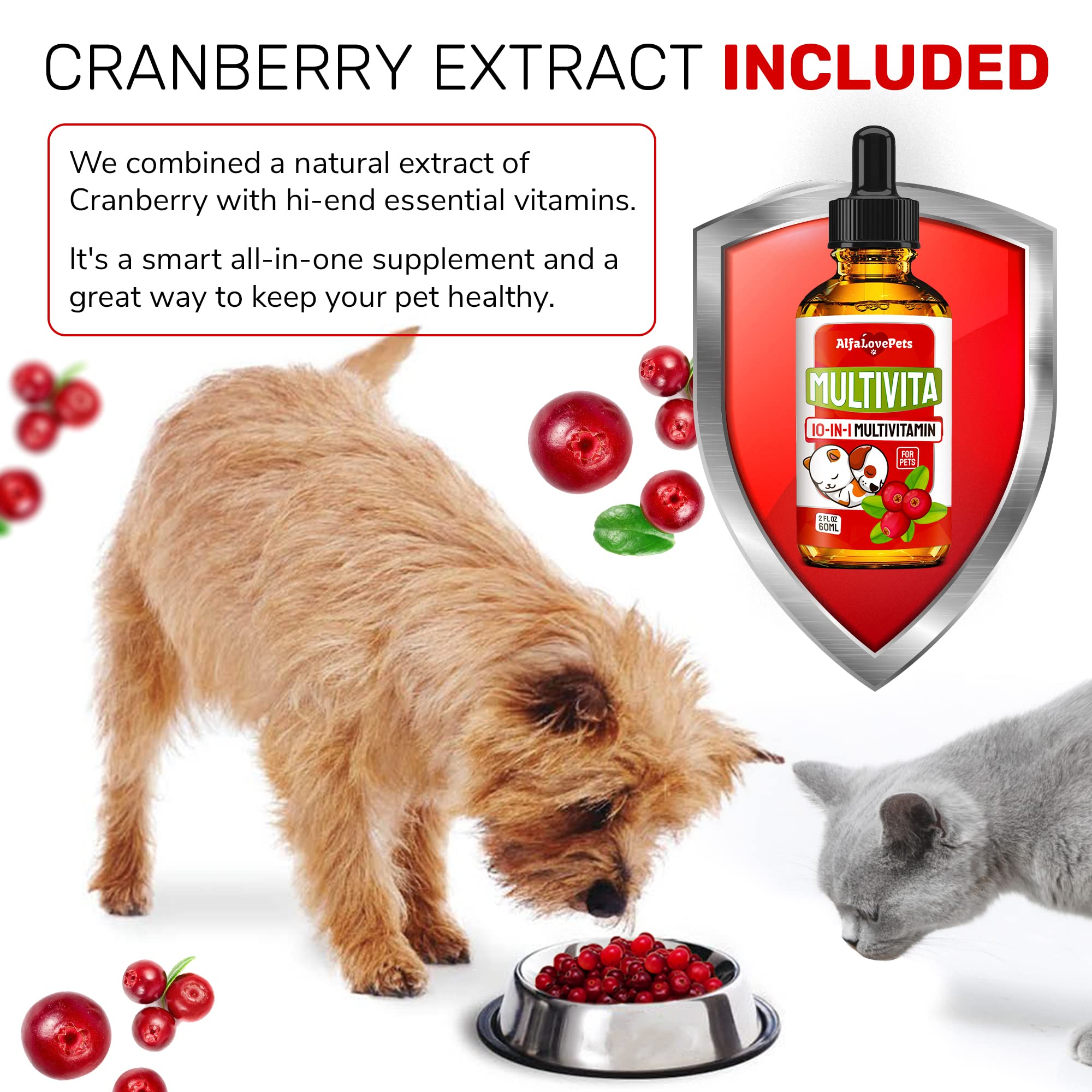 Сat Vitamins for Indoor Cats in Drops – Liquid Multivitamin for Dogs – Dog Multivitamin Liquid Supplement – Cat Multivitamin – Multivitamin for Dogs – Vitamin C for Cats – 2 oz