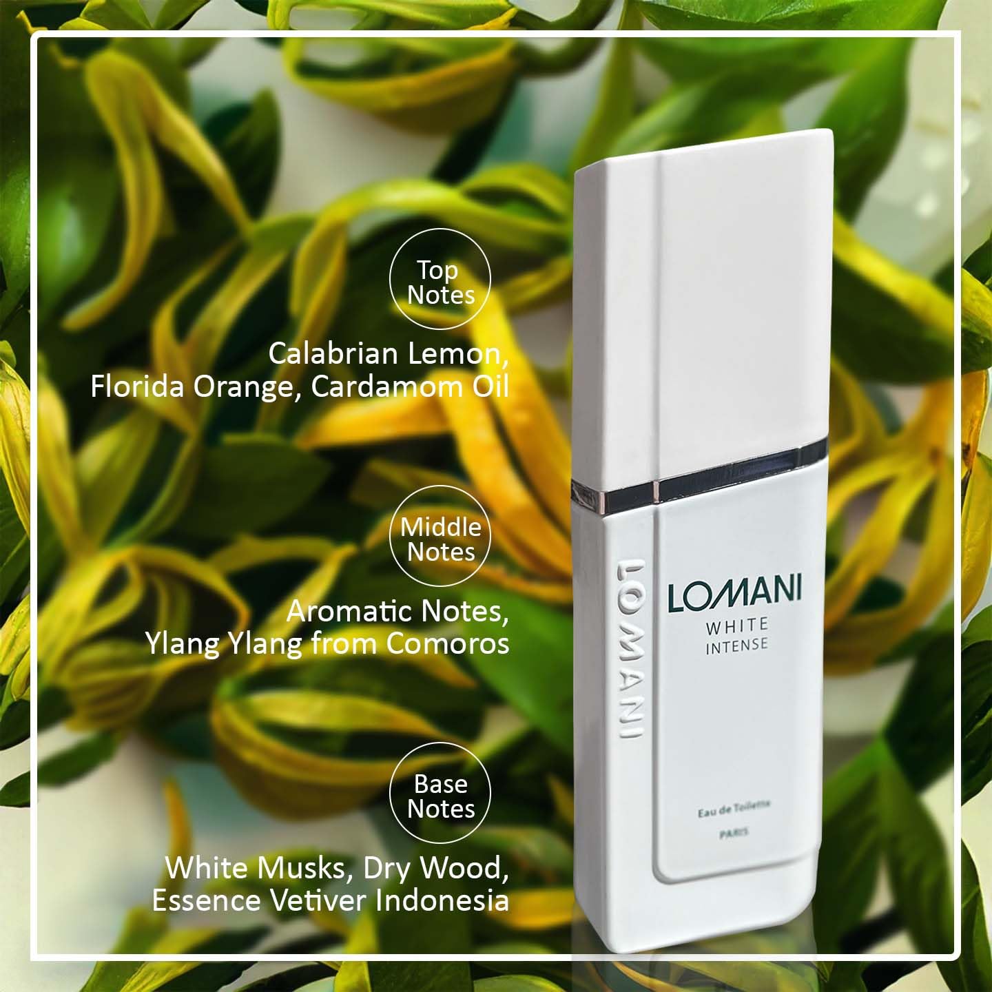 Lomani Lomani Lomani white intense by lomani for men - 3.3 Ounce edt spray, 3.3 Ounce