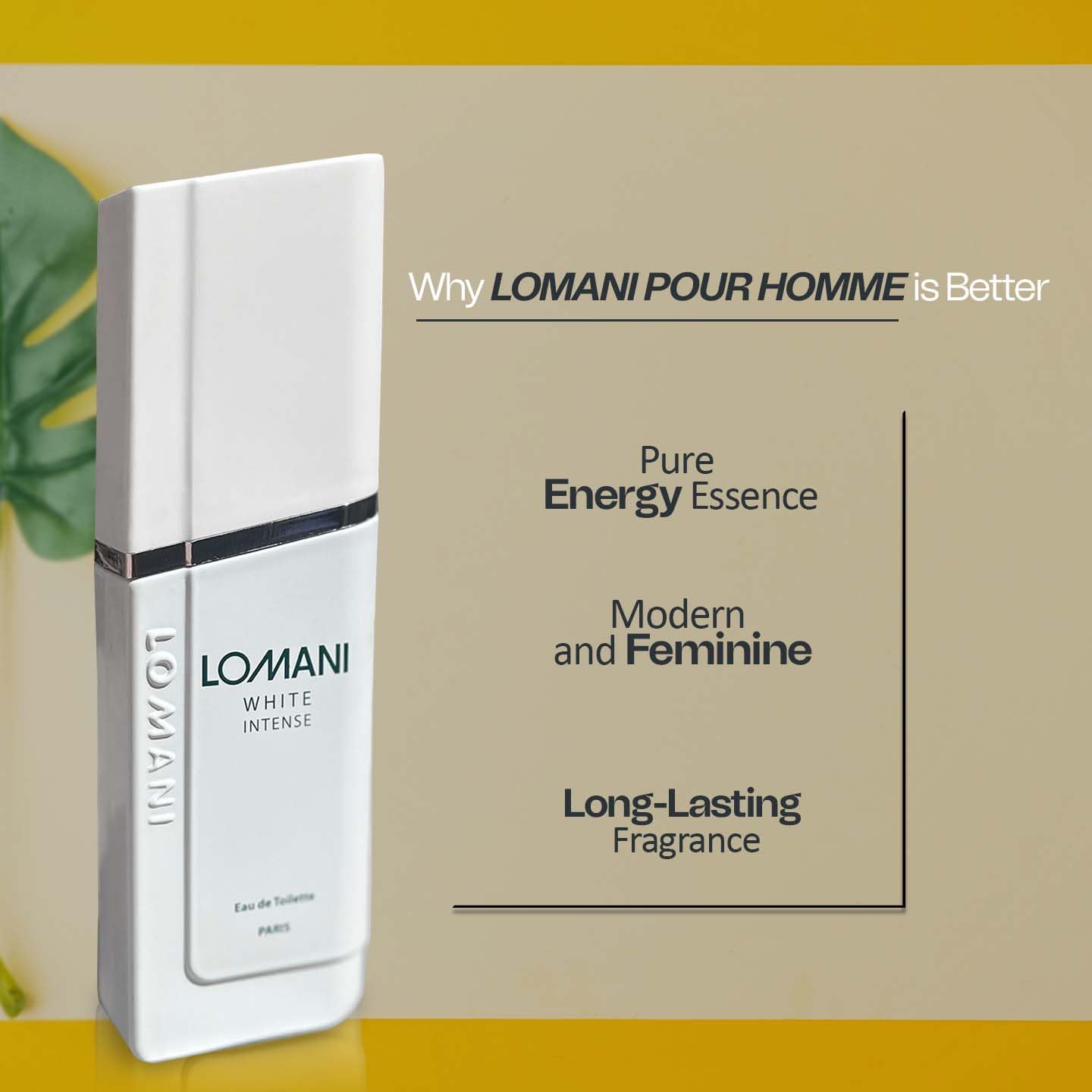 Lomani Lomani Lomani white intense by lomani for men - 3.3 Ounce edt spray, 3.3 Ounce