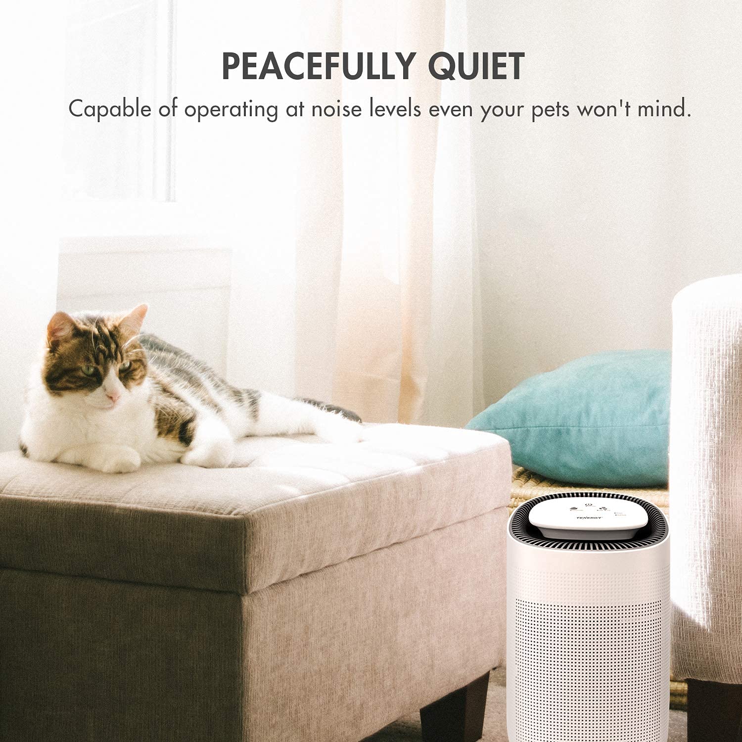 Tenergy Sorbi Dehumidifier w/Air Purifying Function and 3-Pack Replacement H13 Medical Grade Hepa Filter, Ultra-Quiet, Adjustable Air Speeds, and Touch Control