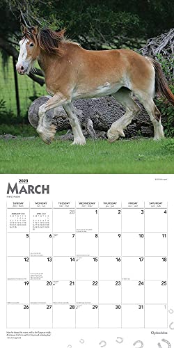 Clydesdales | 2023 12 x 24 Inch Monthly Square Wall Calendar | BrownTrout | Animals Horses