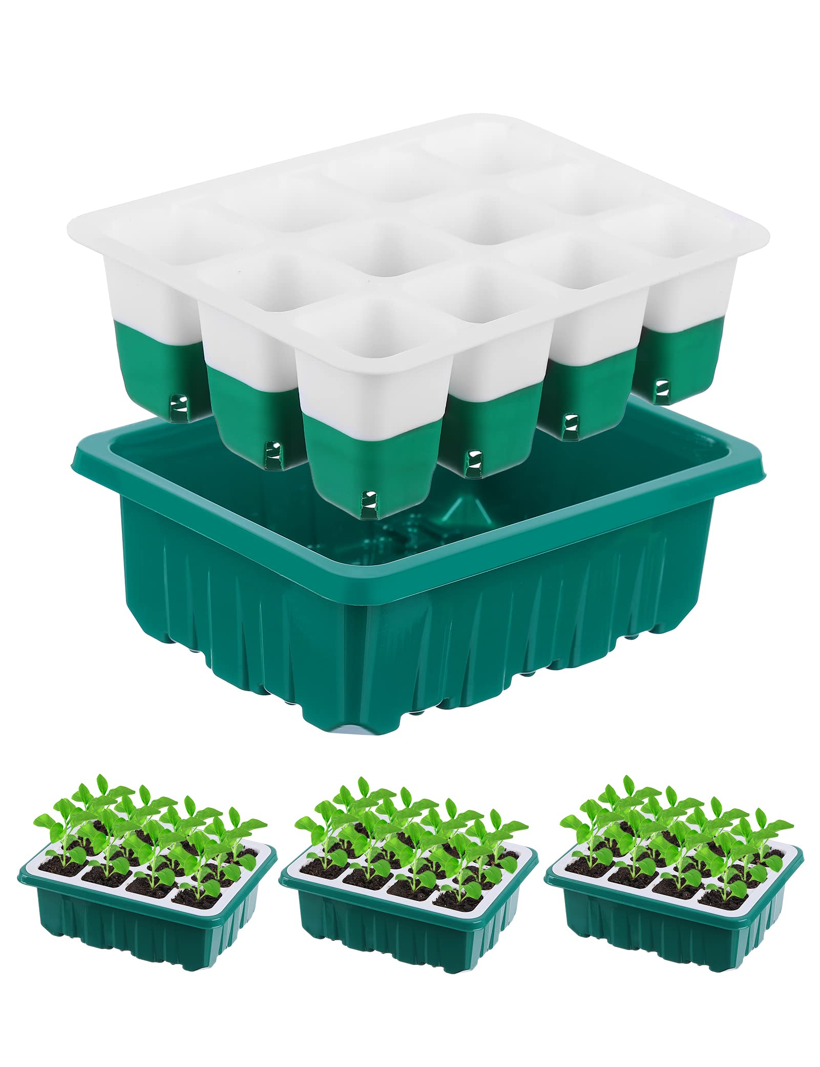 Allox 3 Packs Reusable Seed Starting Trays,36 Cells Seed Germination Kit Indoor Seed Starter Pots with 5 Plant Labels Plant Grow Tray No Humidity Domes Plant Starter Kit