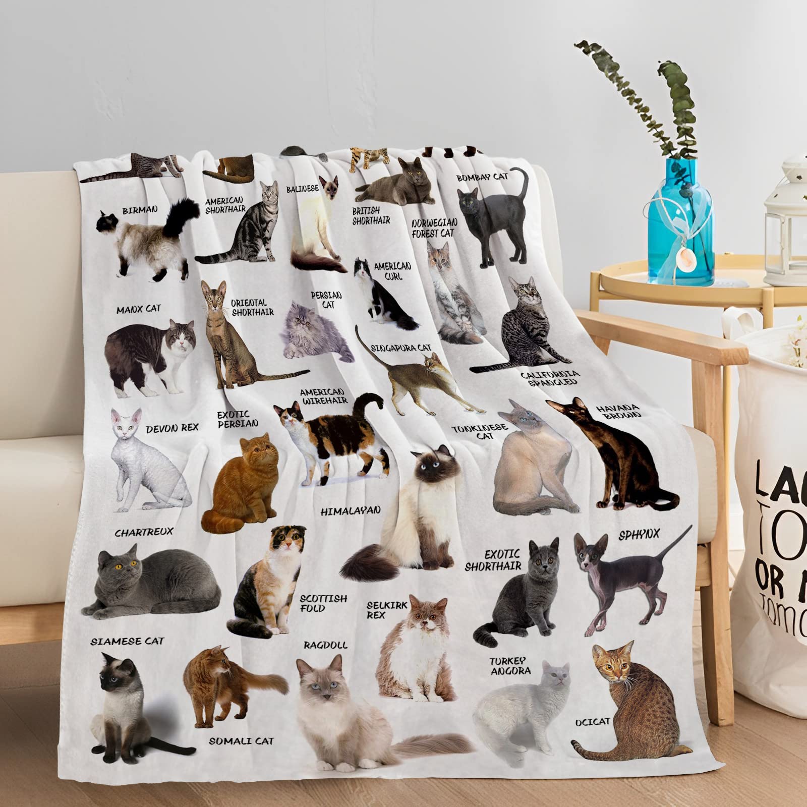 Cute Cat Blanket for Boys Girls, Ultra Soft Kids Cat Throw Blanket for Cat Lovers, Lightweight Cozy Cat Gifts Blanket for Christmas Thanksgiving Bed Couch Sofa 40x50in