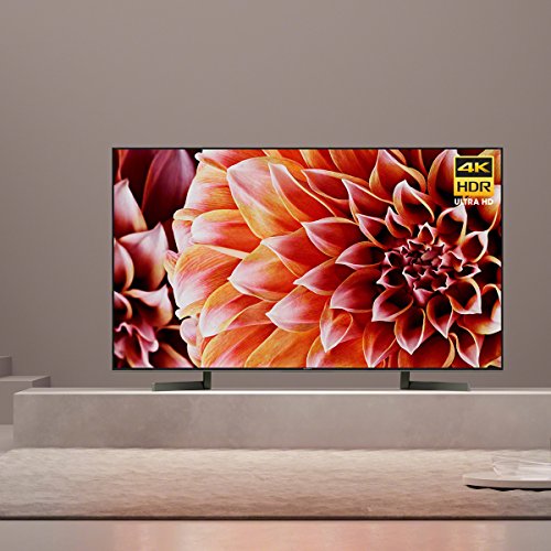 Sony XBR65X900F 65-Inch 4K Ultra HD Smart LED Android TV with Alexa Compatibility - 2018 Model