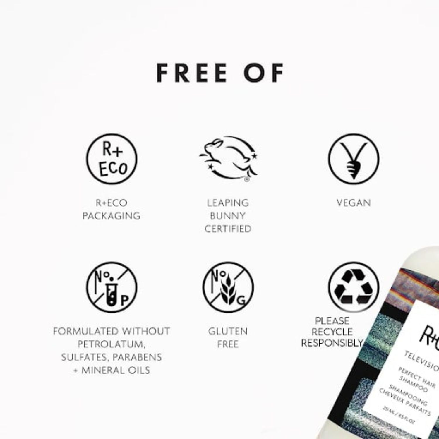 R+Co Television Perfect Hair Shampoo | Body + Shine + Smoothing for All Hair Types | Vegan + Cruelty-Free |