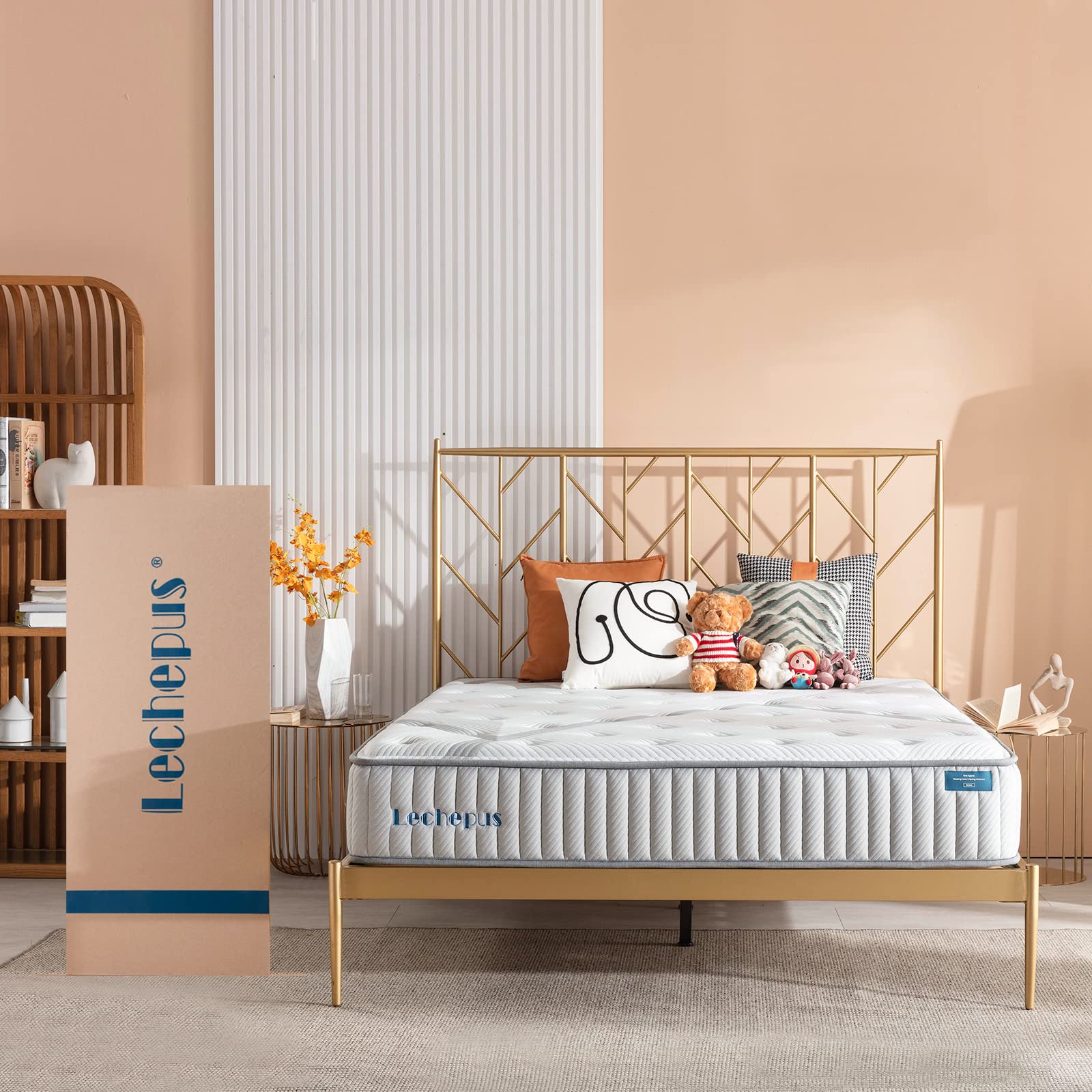 Queen Mattress,Lechepus 10 Inch Premium Hybrid Foam Mattresses in a Box,Pocket Innersprings with Memory Foam for Motion Isolation,Breathable Soft Cover Mattress Medium Firm,10-Years Support