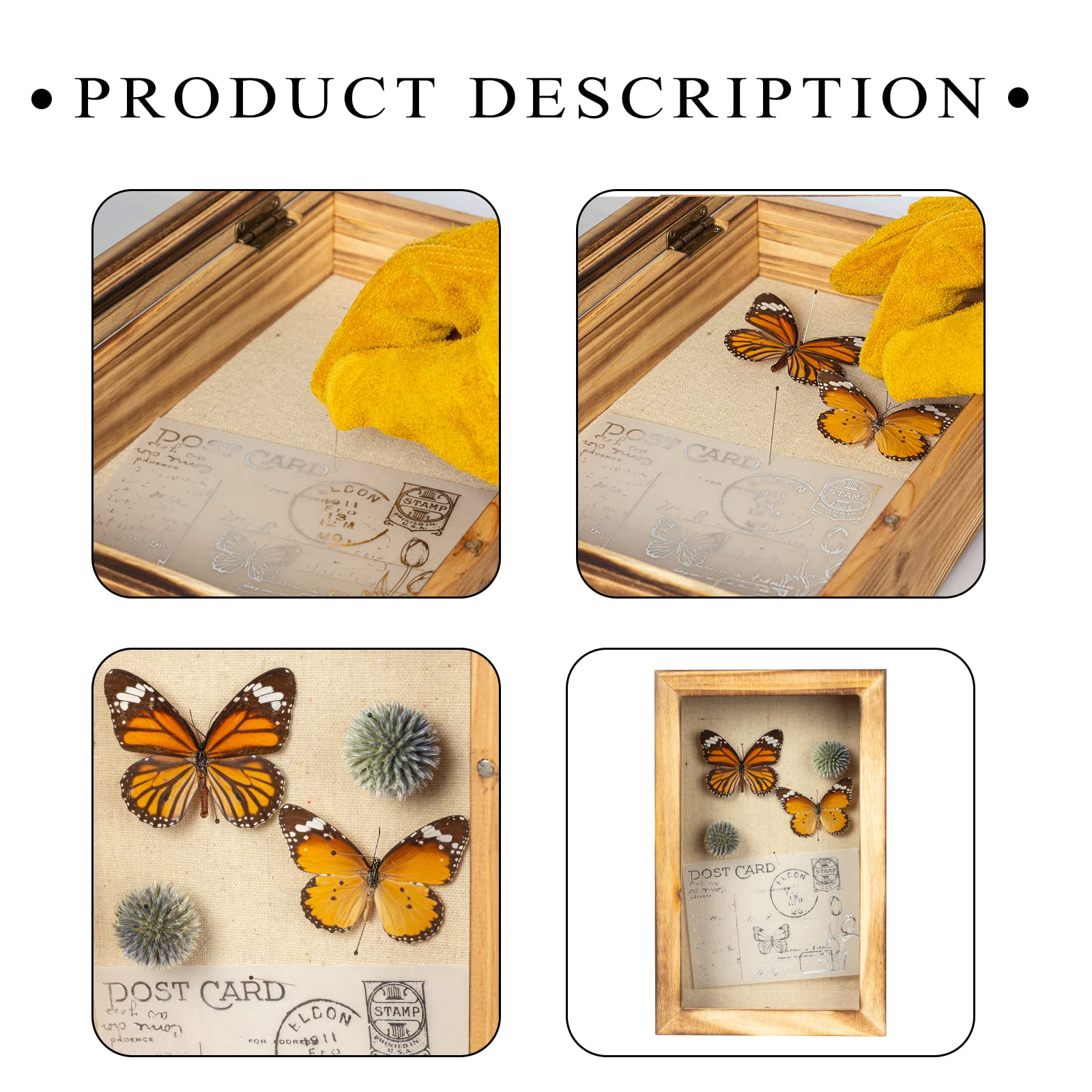 BalterFF Insect Display Case Wall Mount 7×11 Butterfly Shadow Box Frames with Linen Back Memorabilia Awards Medals Photos Rustic Flower Memory Box