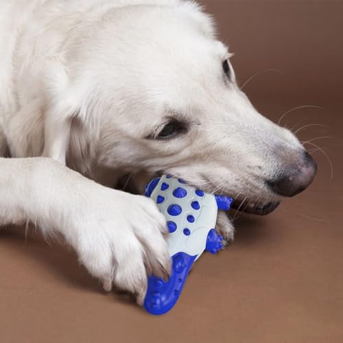 Kapmore Pet Dental Chew Toy Interactive for Teething Training, Cute Tough Reusable Fun Toothbrush Portable Funny Dog Puppies Molar