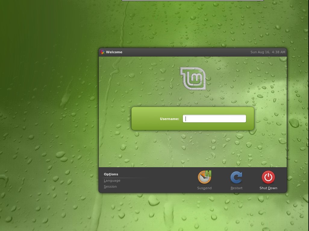 Linux Mint 16 on a Bootable 8GB USB Flash Drive - 32-bit and 64-bit.