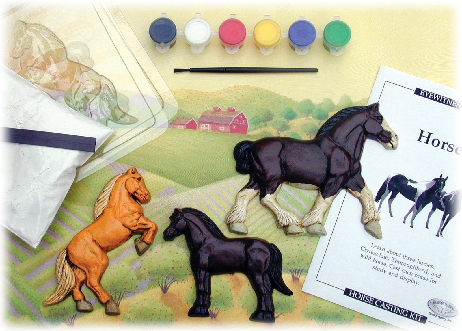 Eyewitness Kits Perfect Cast Horses Cast, Paint, Display and Learn Craft Kit