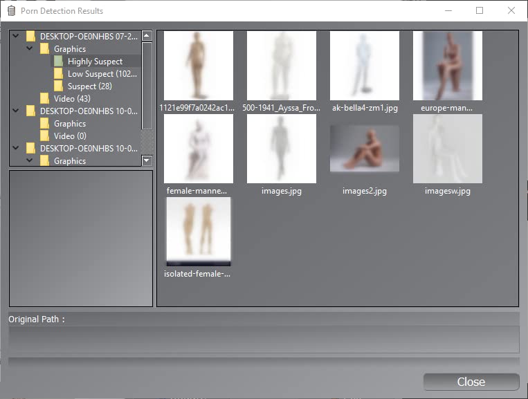Porn Detection Stick - Scan Computers and Media for Pornographic Images & Videos