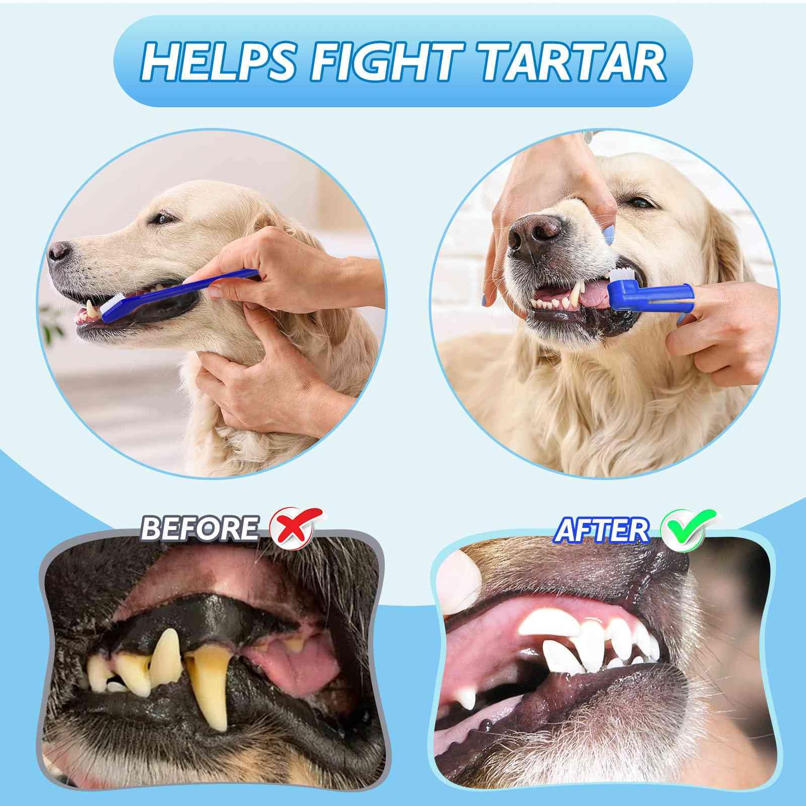 Best Dog Toothbrush & Toothpaste Kit for Dachshund and Other Hound Dogs Dogs - Natural Ingredients Reduce Plaque, Whiten Teeth, Freshen Breath