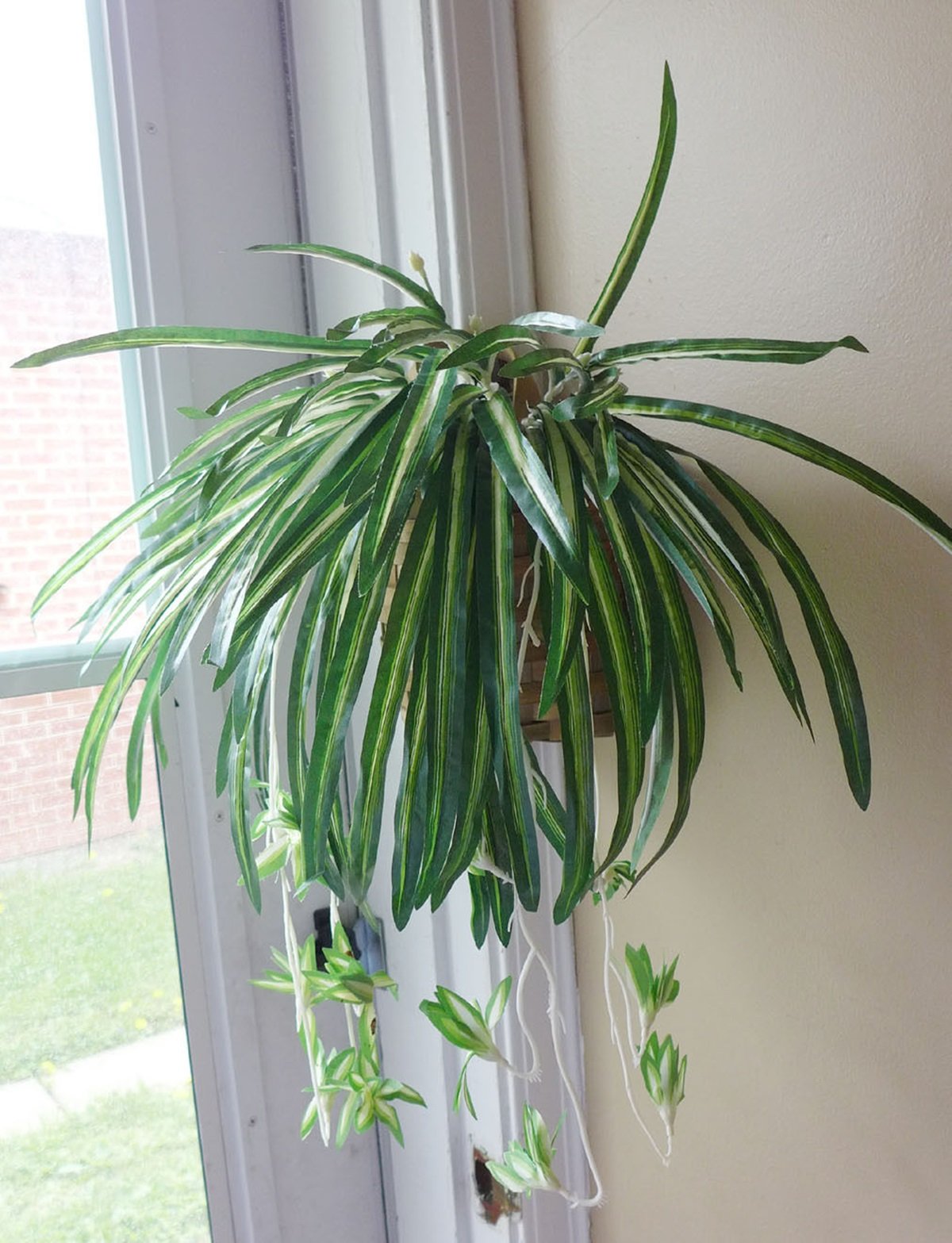 CHSGJY 2 Chlorophytum Grass Vine Artificial Flower Bush Spider Hanging Home Garden Decor