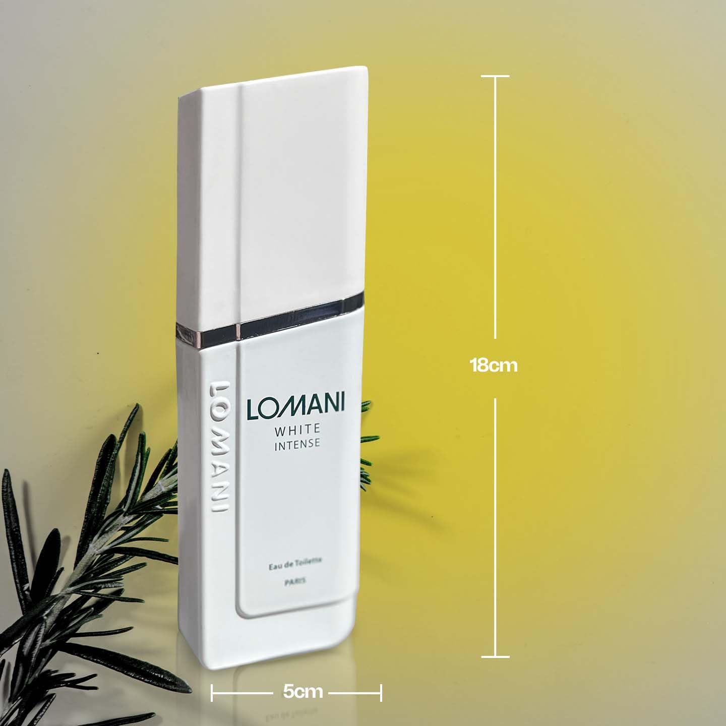 Lomani Lomani Lomani white intense by lomani for men - 3.3 Ounce edt spray, 3.3 Ounce