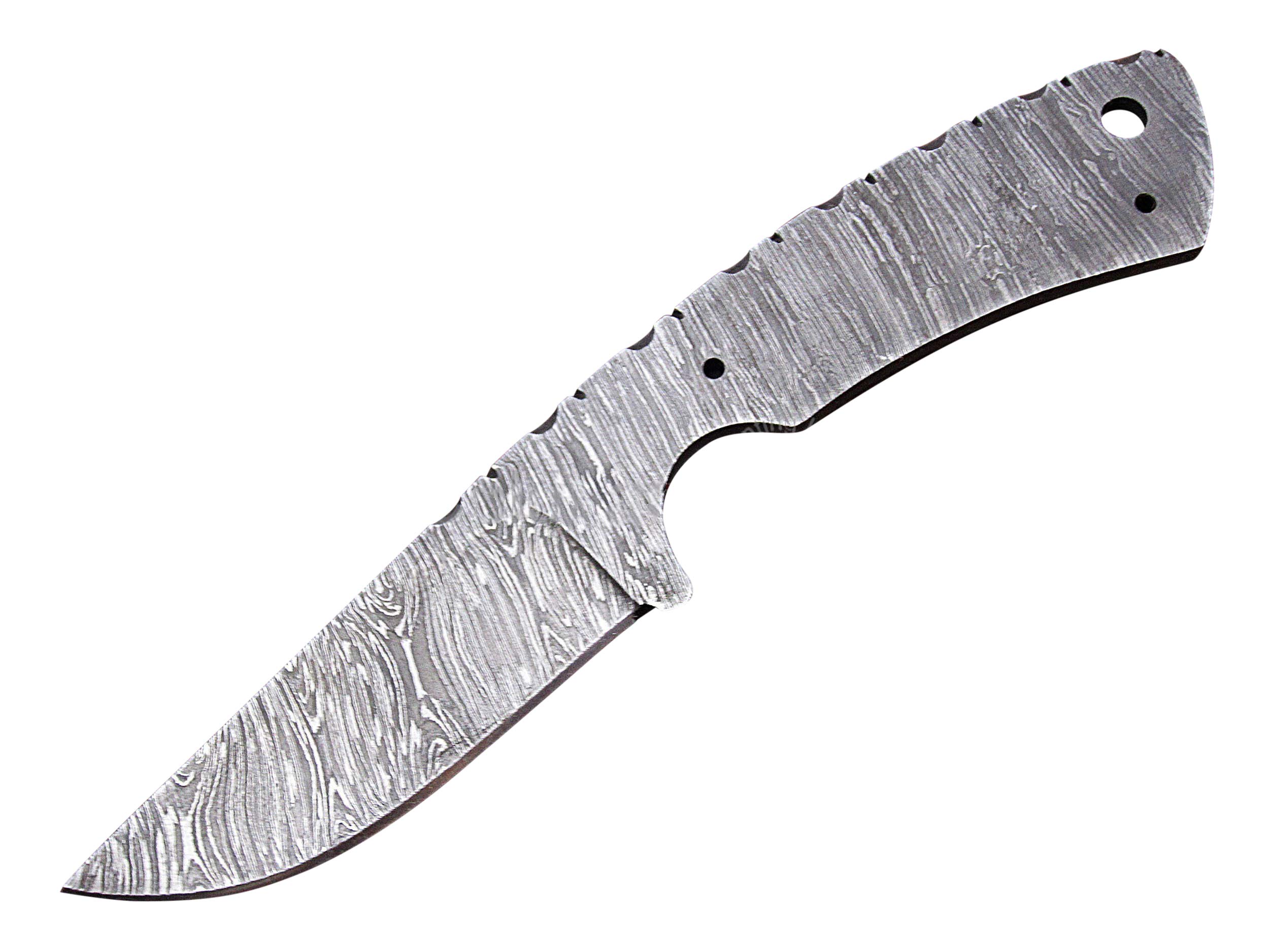 ColdLand 8" Damascus Steel Knife Blade Blank with Bolster - Hand Forged Knife Blanks Full Tang Ideal for Knife Making Supplies, Hunting, Fishing, Camping, Outdoor Sports NB25