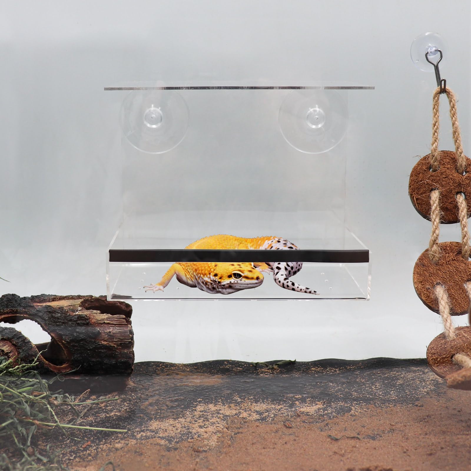 Bearded Dragon Hideout, Transparent Acrylic Lizard Hideout with Strong Suction Cups, Tank Aquarium Decor Accessories, Suitable for Reptile Gecko Frog Lizard Chameleon Hermit Crab 6.7 × 3.9 × 5.7 Inch
