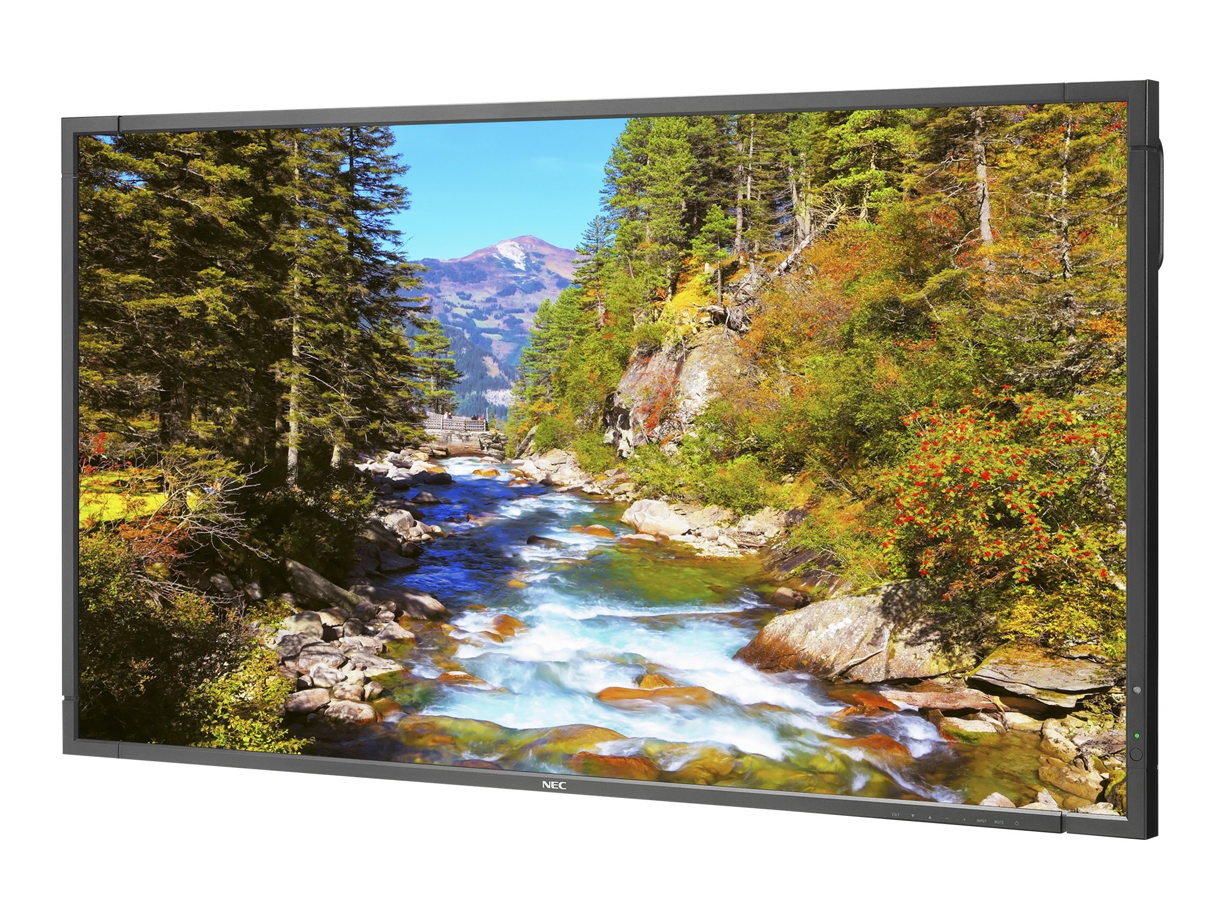 NEC E705 70-Inch Screen LED-Lit Monitor,Black