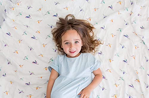 Lulujo Baby Baby Quilt and Toddler Blanket, 47 x 47-Inches, Hummingbird