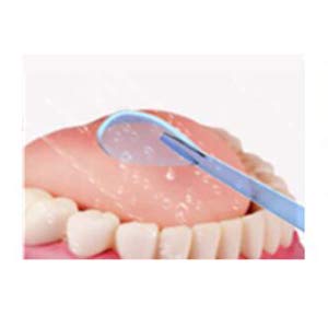 VINFANY Oral Hygiene Accessories Handle with Tongue Cleaning for Waterpik Oral Irrigator Wp100 Wp-450 Wp-250 Wp-300 Wp-660 Wp-900 WP-100 Handle Assembly Kit