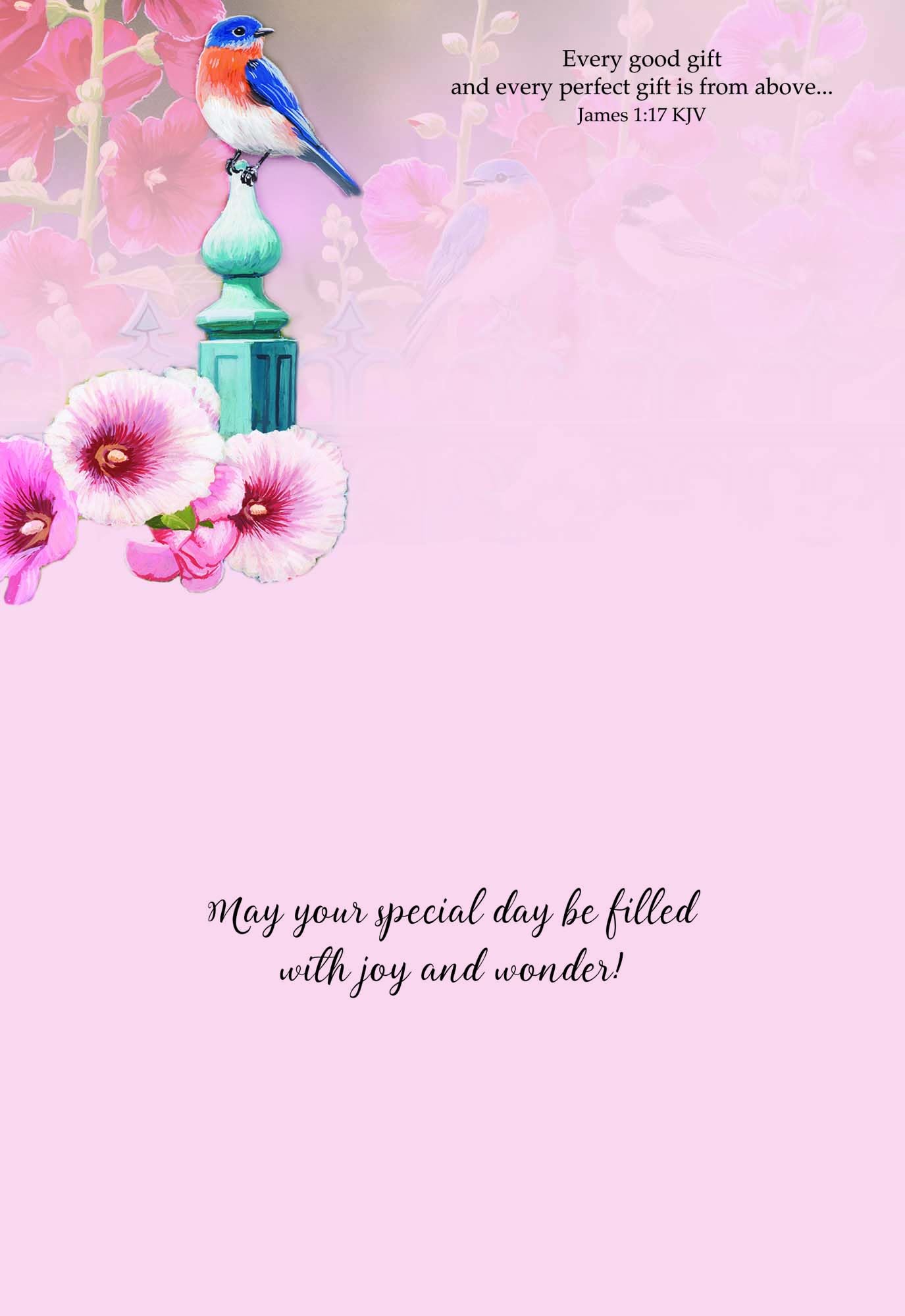 Crown Point Graphics Shared Blessings Birthday Birds 12 Boxed Birthday Cards, Beautiful Birds with KJV Scripture, Art by William Vanderdasson