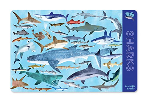Crocodile Creek 36 Animals/Sharks 2-Sided Placemat, Blue/Green/Teal/Grey/Red