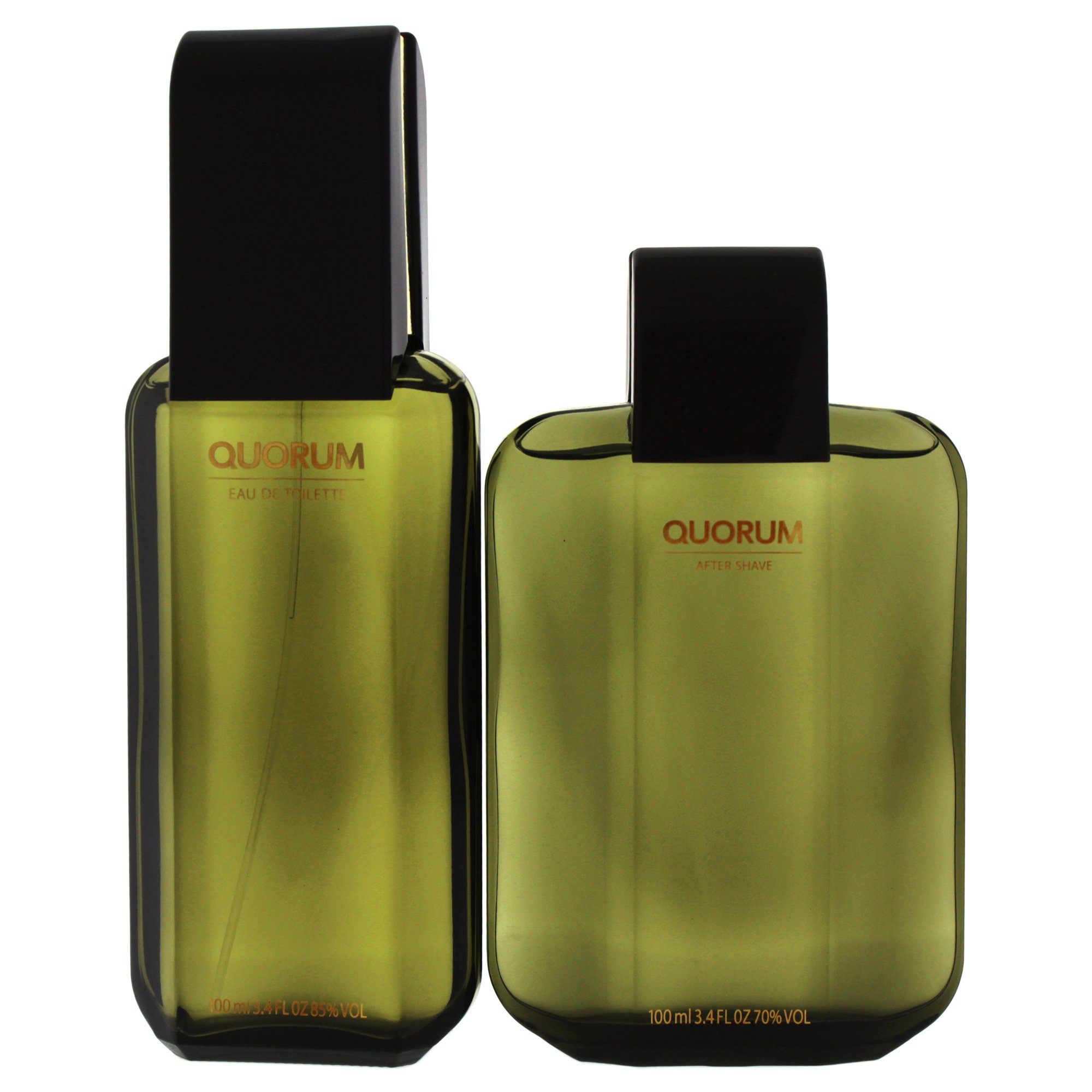 Quorum Silver by Antonio Puig for Men - Cologne And Shave Care Gift Set For Him - Eau De Toilette And Aftershave - Classic Scent - 3.4oz EDT Spray, 3.4oz After Shave Lotion - 2 Pc Gift Set