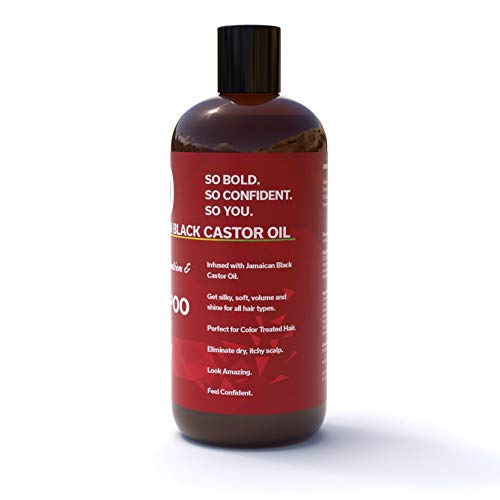 SO Jamaican Black Castor Oil Extreme Hydration & Detangling Shampoo | Prevent Hair Damage | Get Silky, Soft, Shine | Effective For Men & Women All Hair Types 12 Oz /354 mL