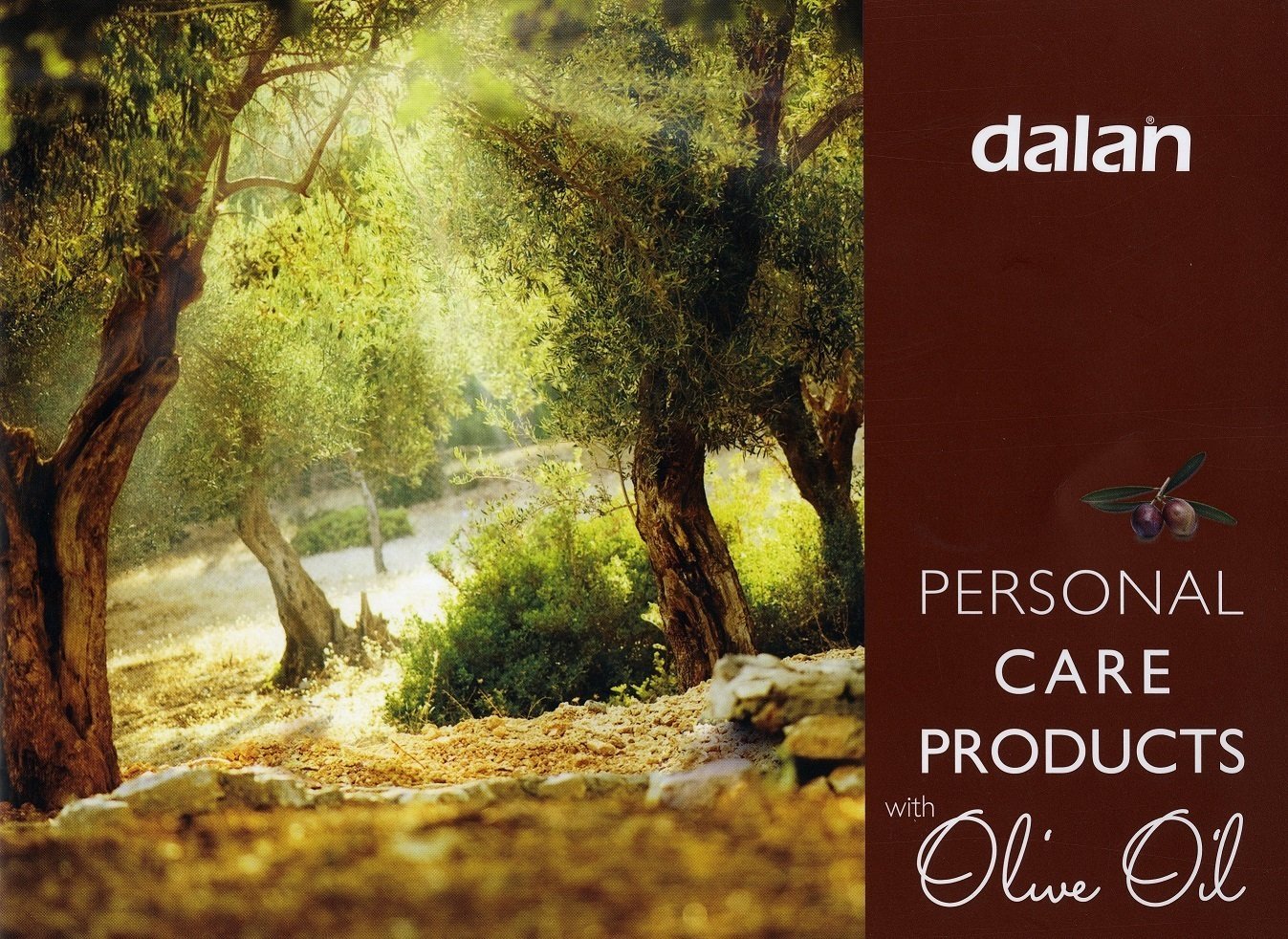 Dalan 100% Pure Olive Oil Hair Conditioner Repair Care for Dry and Damaged Hair Preventing it from Forming Split Ends Paraben-Silicon-PEG Free 6.8 fl.oz.