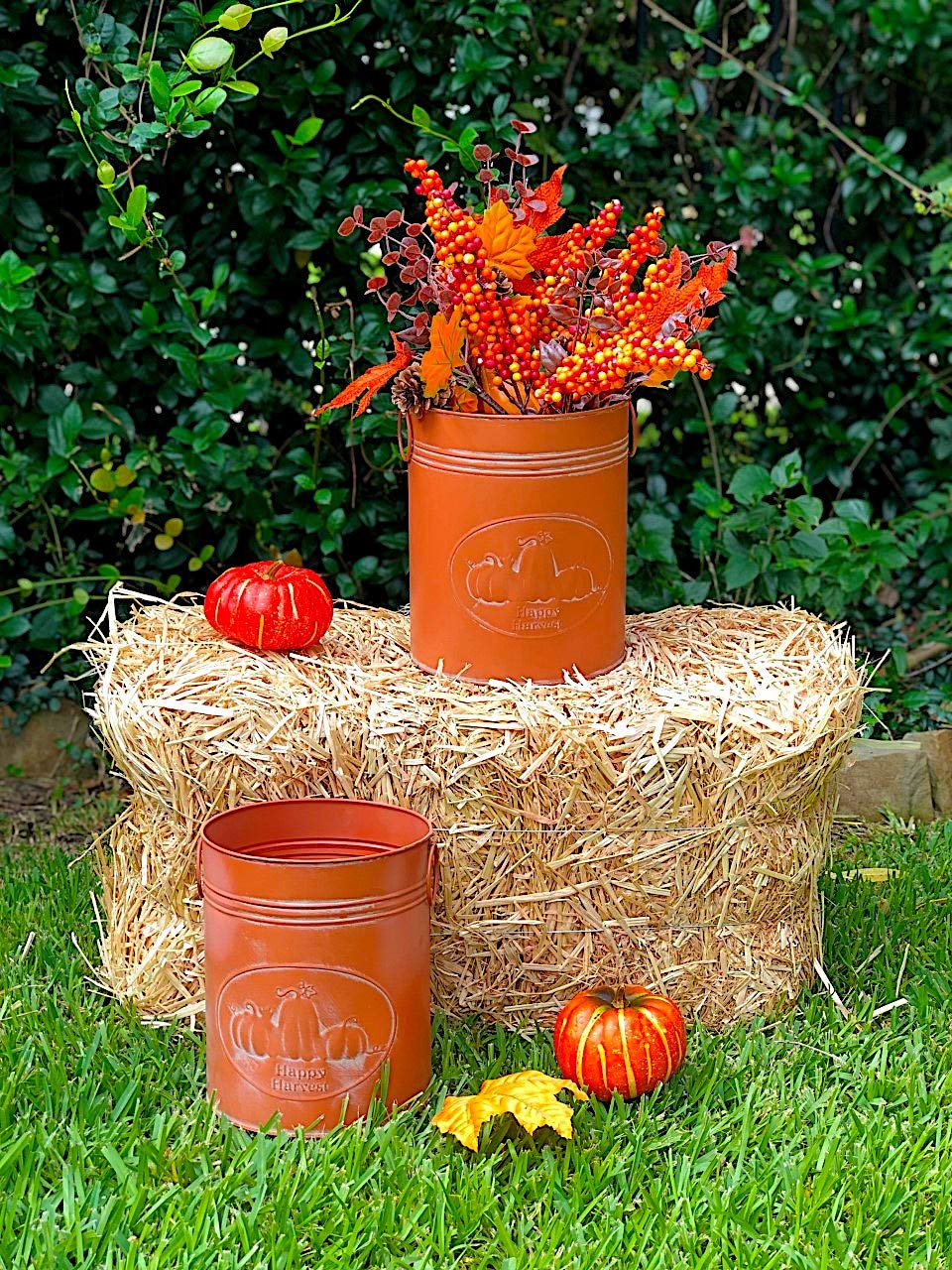 DNS Happy Harvest Buckets Large Metal Galvanized Burnt Orange Pumpkin Theme Containers Thanksgiving Fall Decorative Organizer (Set of 2) 9.2" & 8.8"